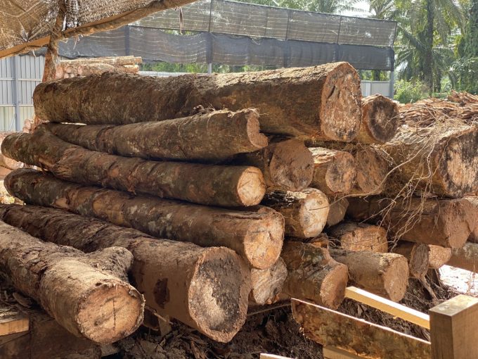 KD Rubber Wood - ESK Wood Products 永光木业